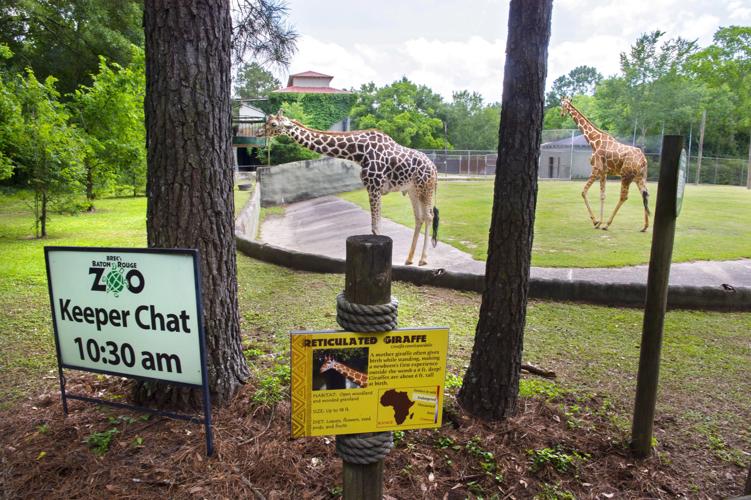 BREC to reopen some areas Friday; zoo will accept visitors later in May ...