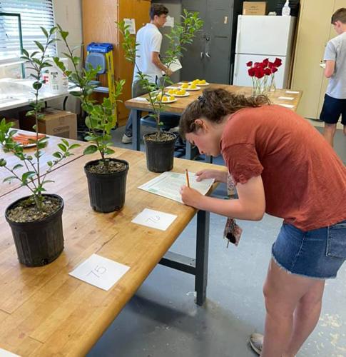 Two from West Feliciana win first place at 4-H University | St ...