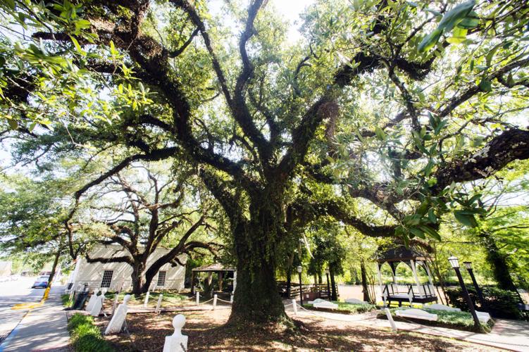 Filmmaker explores story of Evangeline through residents of Louisiana ...