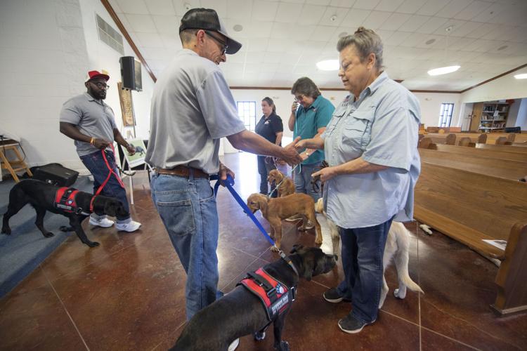 In Angola, inmates train dogs to help vets with PTSD: 'A builder ...