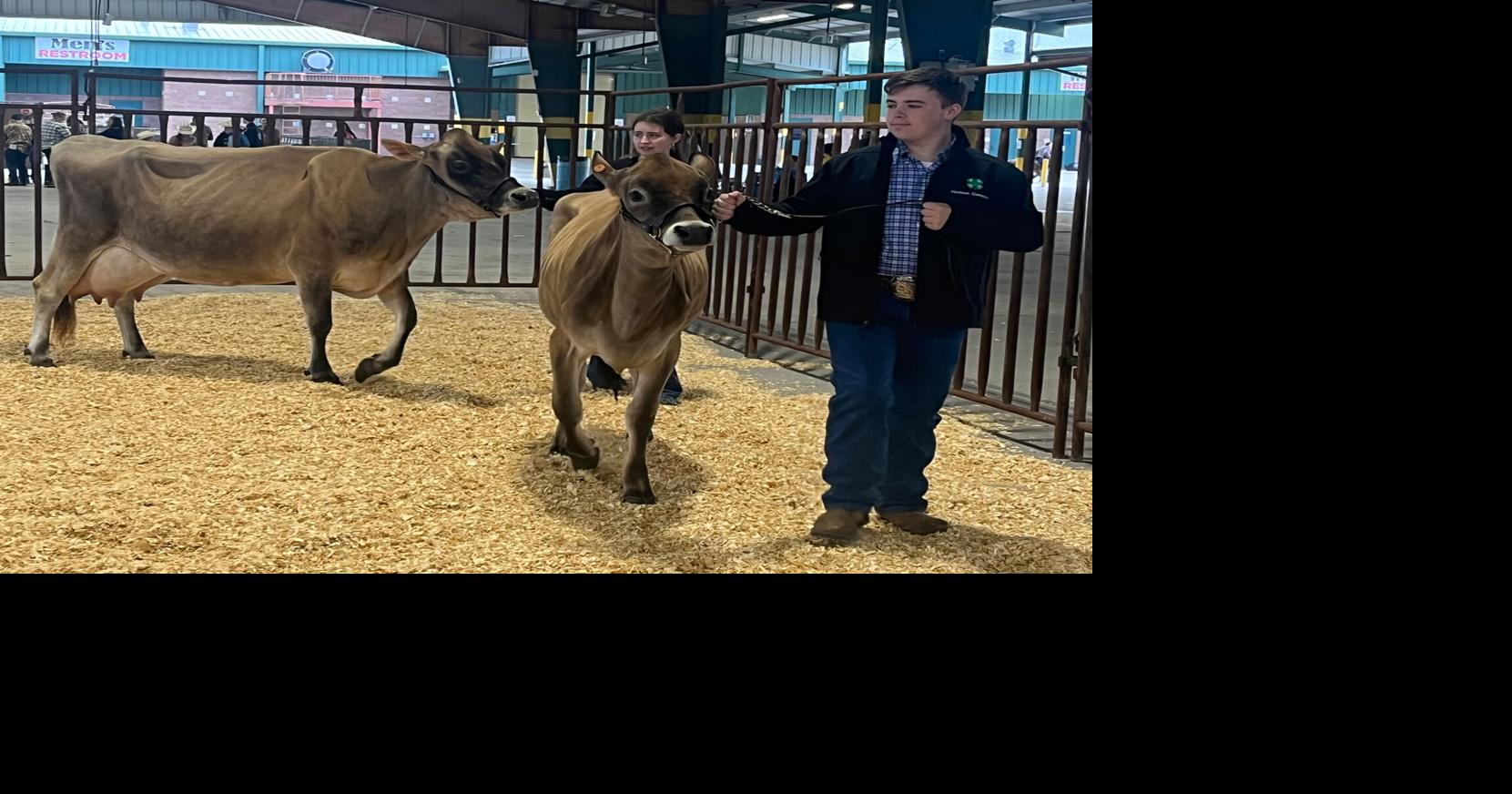 Honoring a family tradition at Ascension Parish 4-H livestock show ...