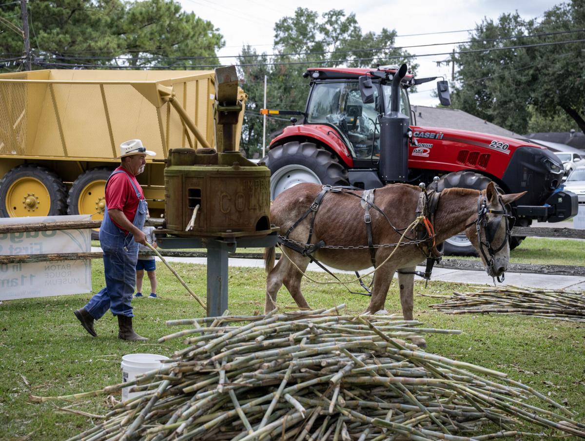 Photos: 30th Annual SugarFest | Baton Rouge | theadvocate.com