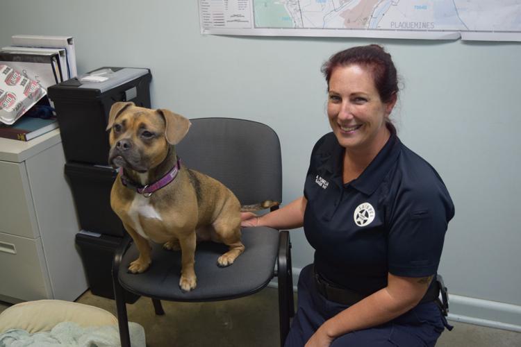 On the Clock: Amanda Pumilia, humane law enforcement manager | The ...