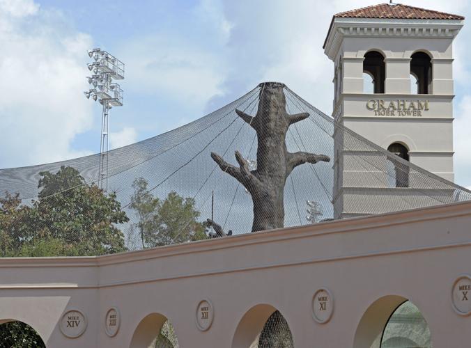 LSU's renovated tiger habitat features 'above and beyond' comforts for ...