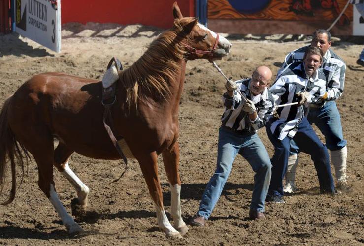 Angola Prison Rodeo lives up to its name: ‘Wildest Show in the South ...