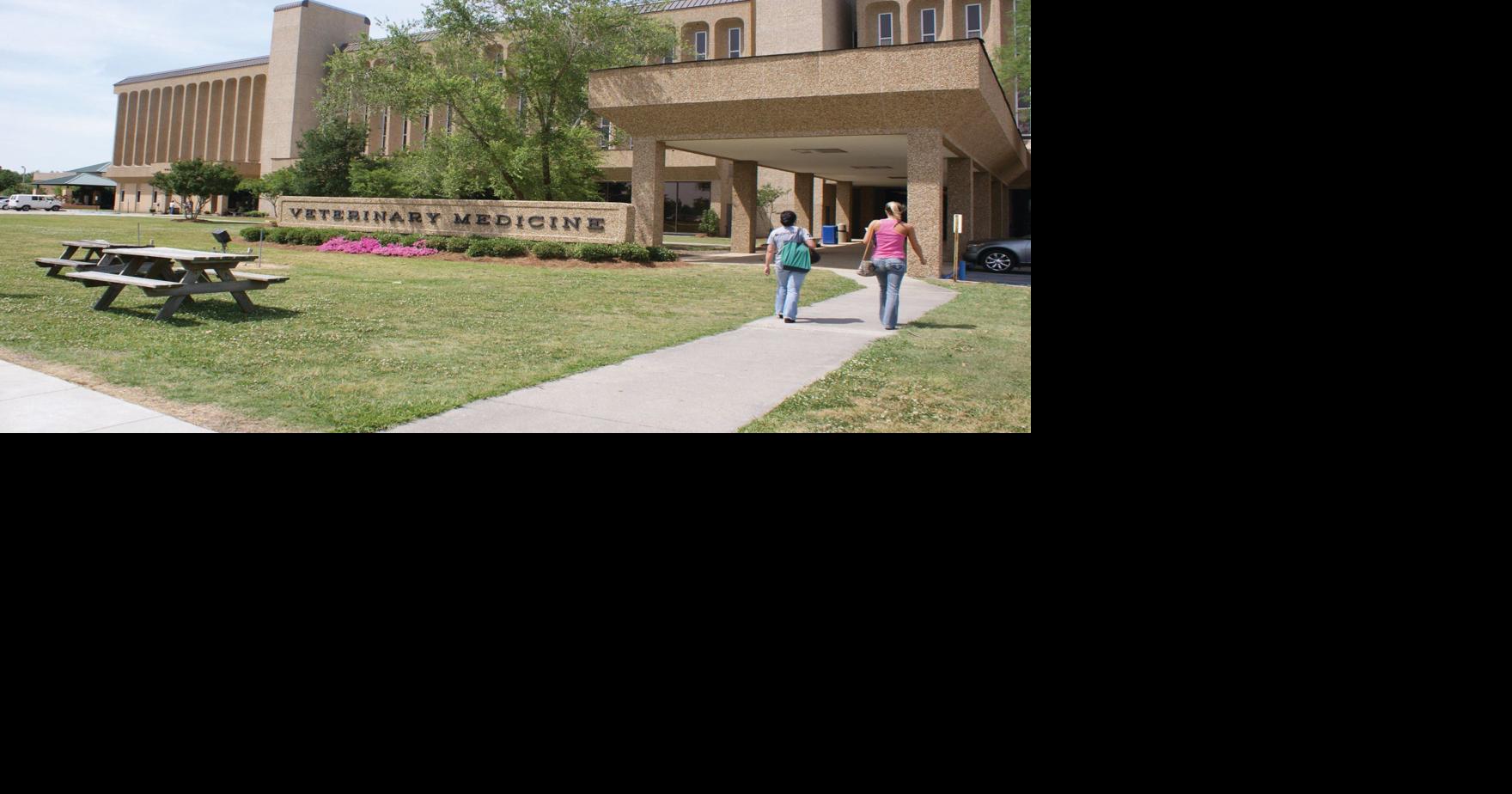 How LSU researchers, hospital leaders created a new coronavirus test ...