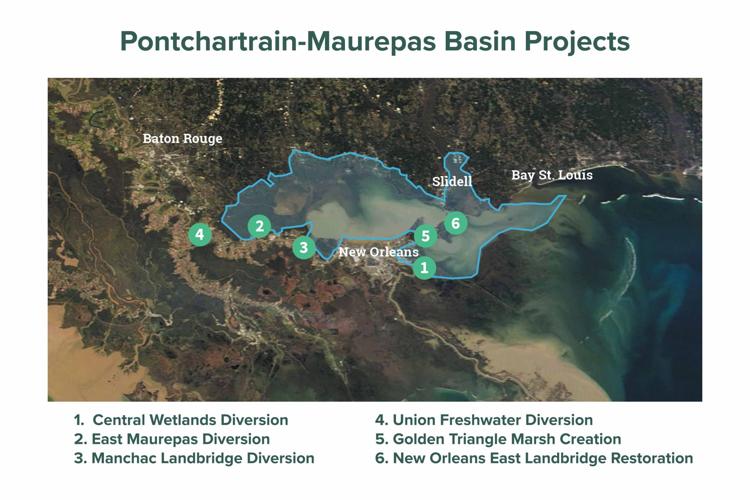 Conservationists urge action by Louisiana to restore, protect critical ...