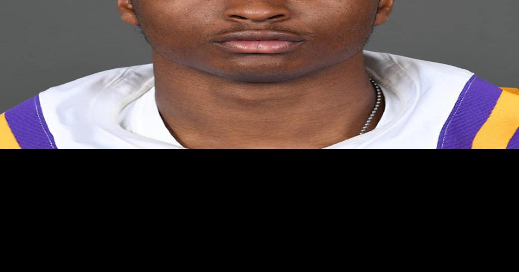 JaCoby Stevens: What you need to know about 2017 LSU signee | Sports ...