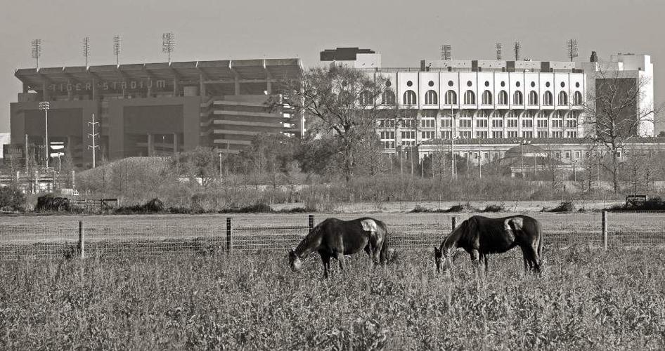 Photos: In a world over-saturated with high-def screens, Instagram ...