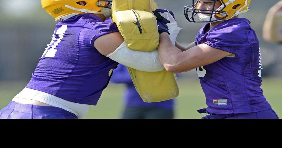LSU defensive tackles pushing each other | LSU | theadvocate.com