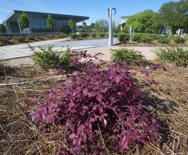 Inside look at BREC's Botanical Garden's six-figure makeover ...