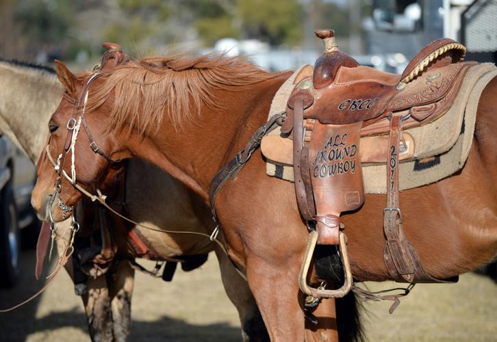 Photos: Rodeo participants begin arriving in Lafayette for Mid Winter ...