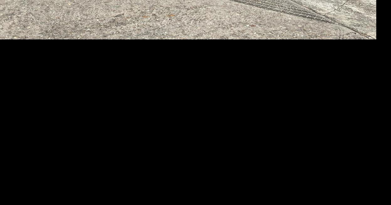 Family of LSU student wounded in 3-car hit-and-run asks for public's ...