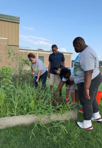 Gonzales Middle School students harvest the produce of their Greaux ...