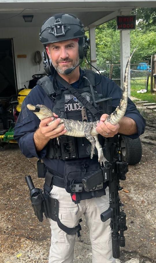 Baton Rouge police rescue 2.5-foot pet alligator from home | Crime ...