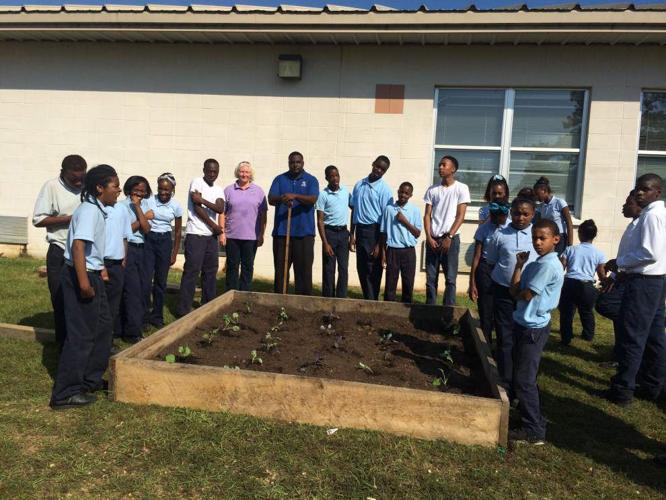 St. Helena Arts and Technology Academy students plant fall garden | St ...