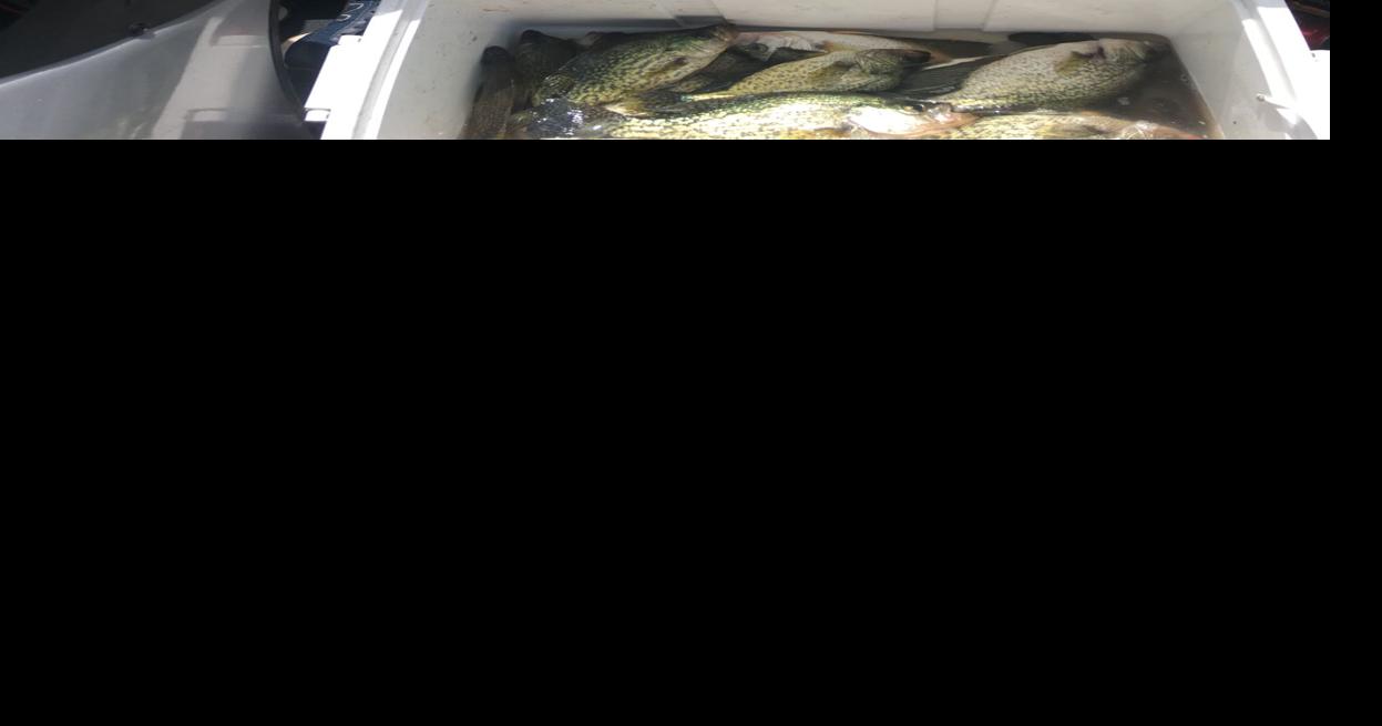 It's sac-a-lait time/patience needed to catch these finicky fish ...