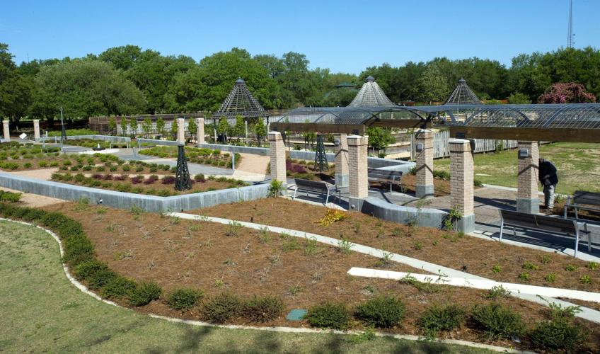 Independence Park Botanic Gardens | Fasci Garden