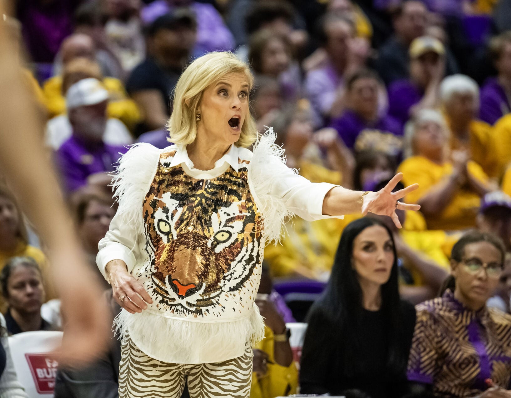 LSU women sign Spanish forward with professional experience | LSU ...