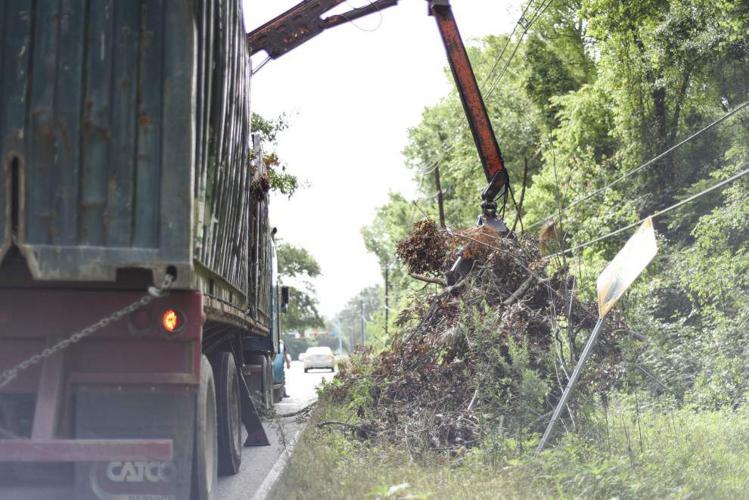 Ask The Advocate: Who’s supposed to haul off tree debris? Another I-10 ...