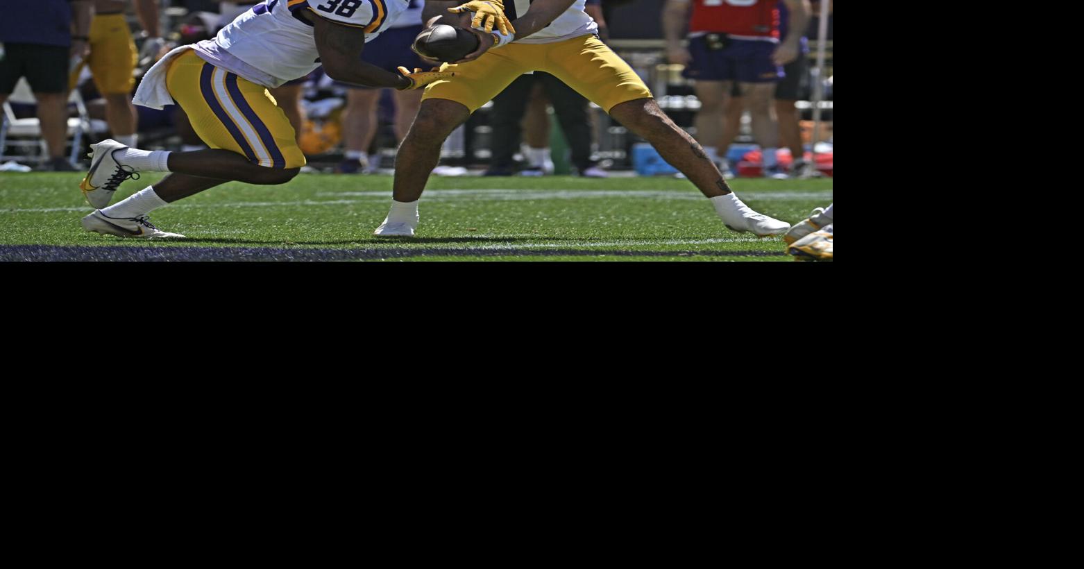 Photos: Offense and Defense Shine in LSU Spring Game | Photos ...