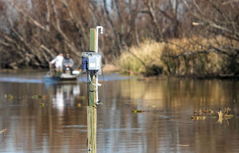 In marsh's muck, Louisiana’s past and future collide | Environment ...