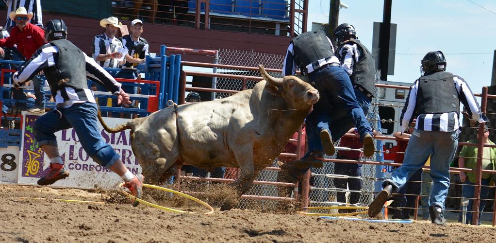 Guts and glory | | theadvocate.com