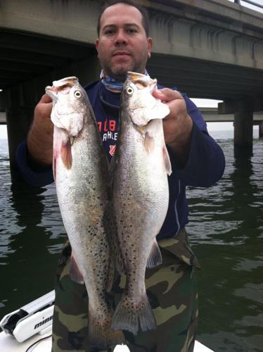 Lake Pontchartrain speckled trout finally realize winter's coming and ...