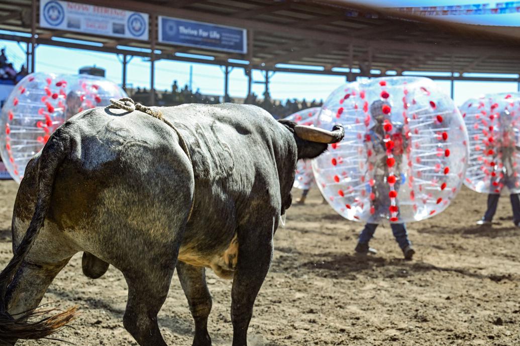 Photos: Inside Angola Prison Rodeo | Baton Rouge | theadvocate.com