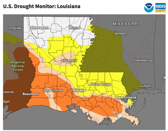 Louisiana issues a statewide burn ban | Environment | theadvocate.com