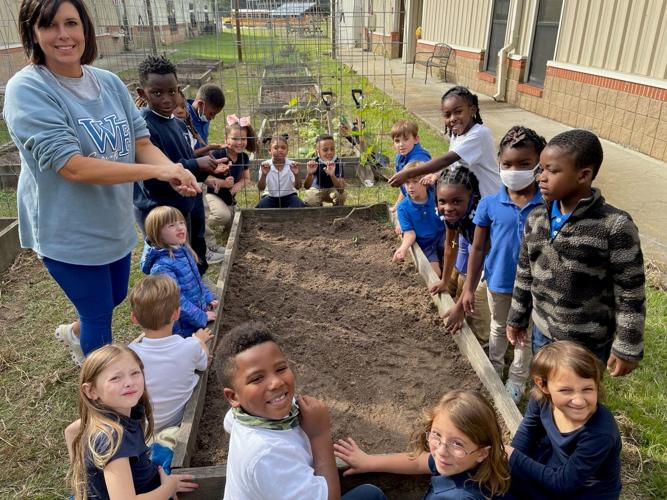 Bains Lower Elementary School gardens off to a great start | St ...