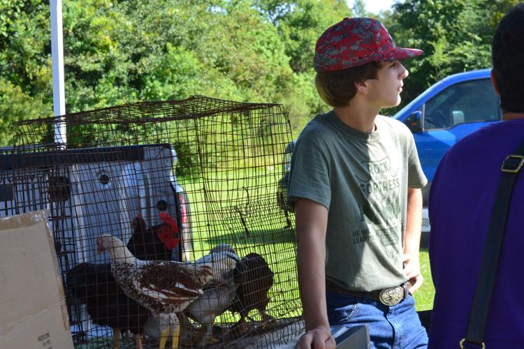 Experts differ in age but not passion for poultry | East Feliciana ...
