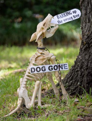 Photos: Louellen Berger's Skeleton House Re-erected after Hurricane ...