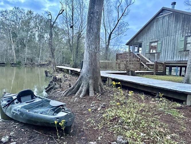 Lake Fausse Pointe State Park: A spot for experiencing the tame part of ...