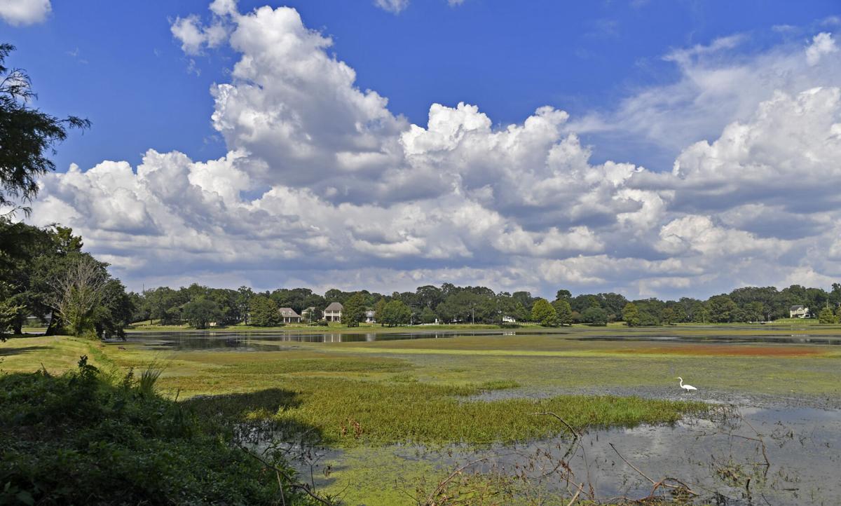 LSU lakes restoration project advances — here's the three contractors ...