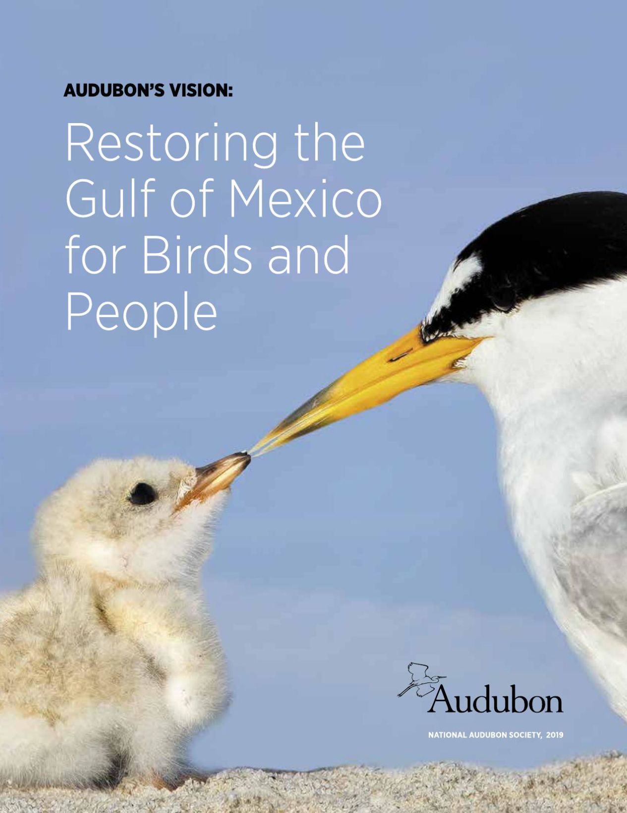 Audubon's Vision" Restoring the Gulf of Mexico for Birds and People ...