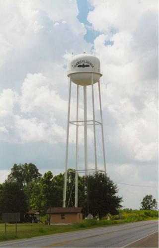 The story behind the Louisiana community of Transylvania ...