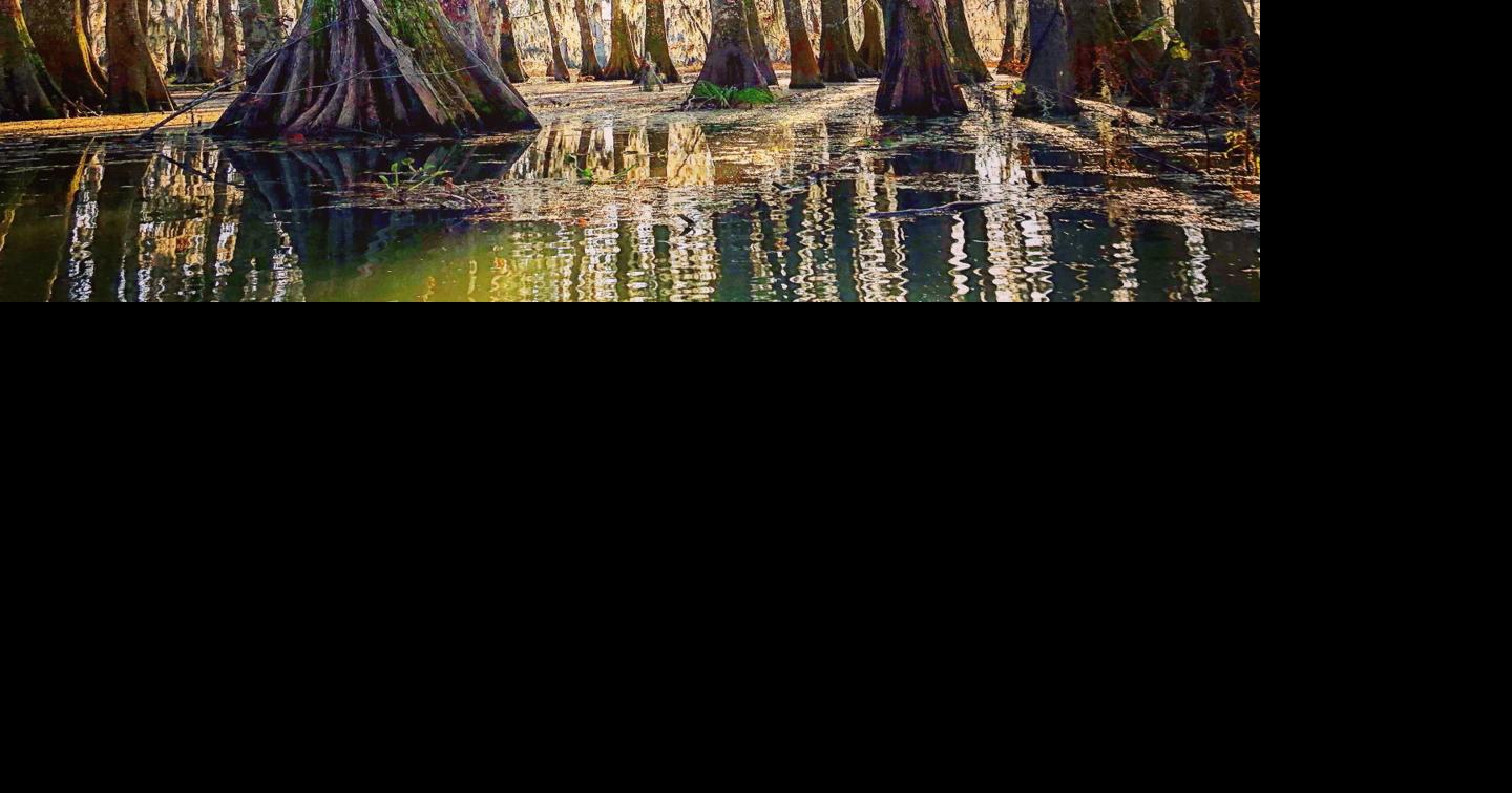 Jan Risher: A quick paddle can make any season a little more jolly ...