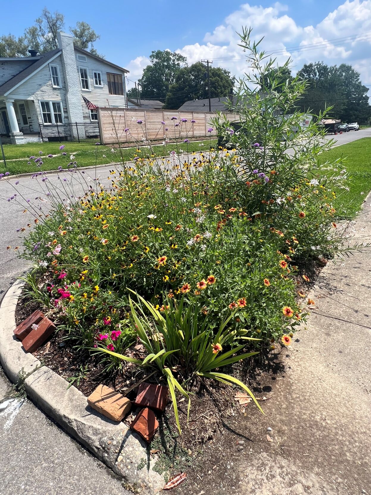 Ginger Ford plants pollinator gardens along BR street | Entertainment ...