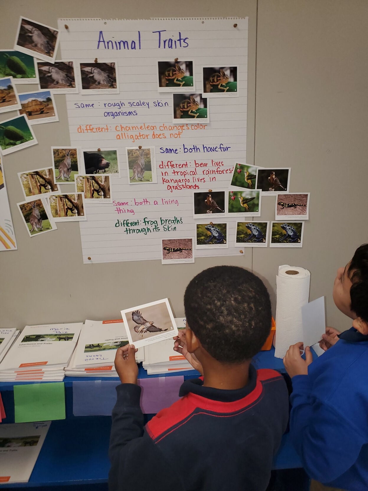 Jackson Elementary students learn animal traits | East Feliciana ...