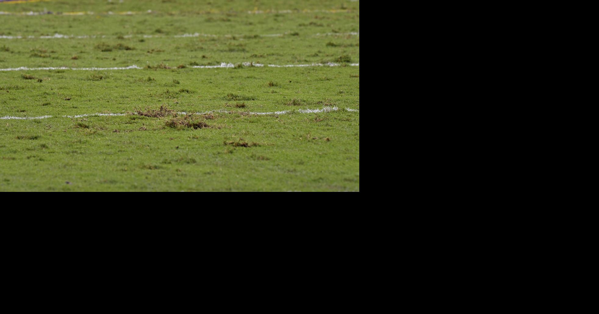 Torn-up LSU turf causes stir; field to be replaced after season: 'Looks ...
