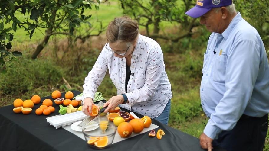 Citrus to sweet potatoes: LPB's new digital-first series shines ...