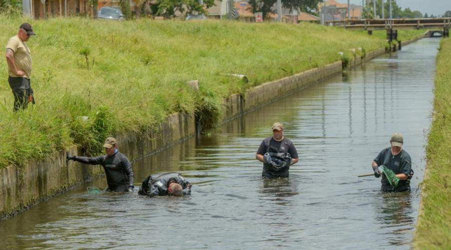 Arrested NOPD officer Wardell Johnson has history of downplaying ...