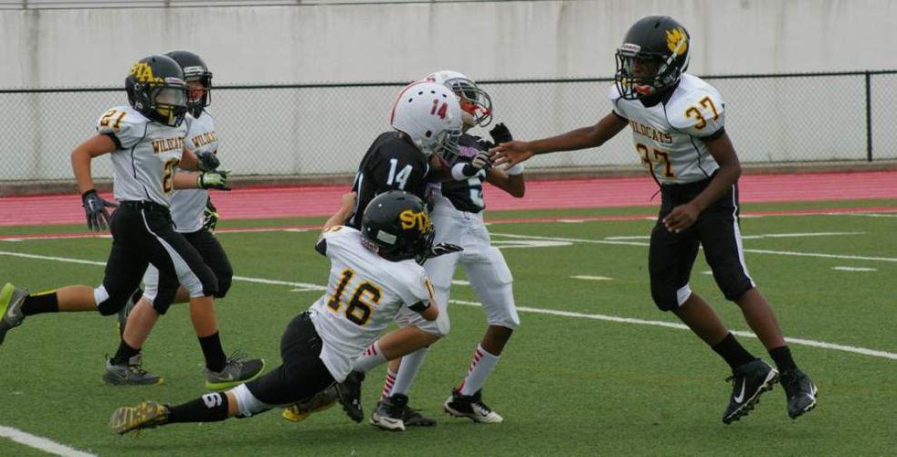 St. Amant Wildcats make the power plays | Ascension | theadvocate.com