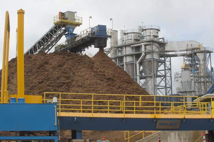 Power from pellets Drax facilities boost timber industry in Louisiana ...