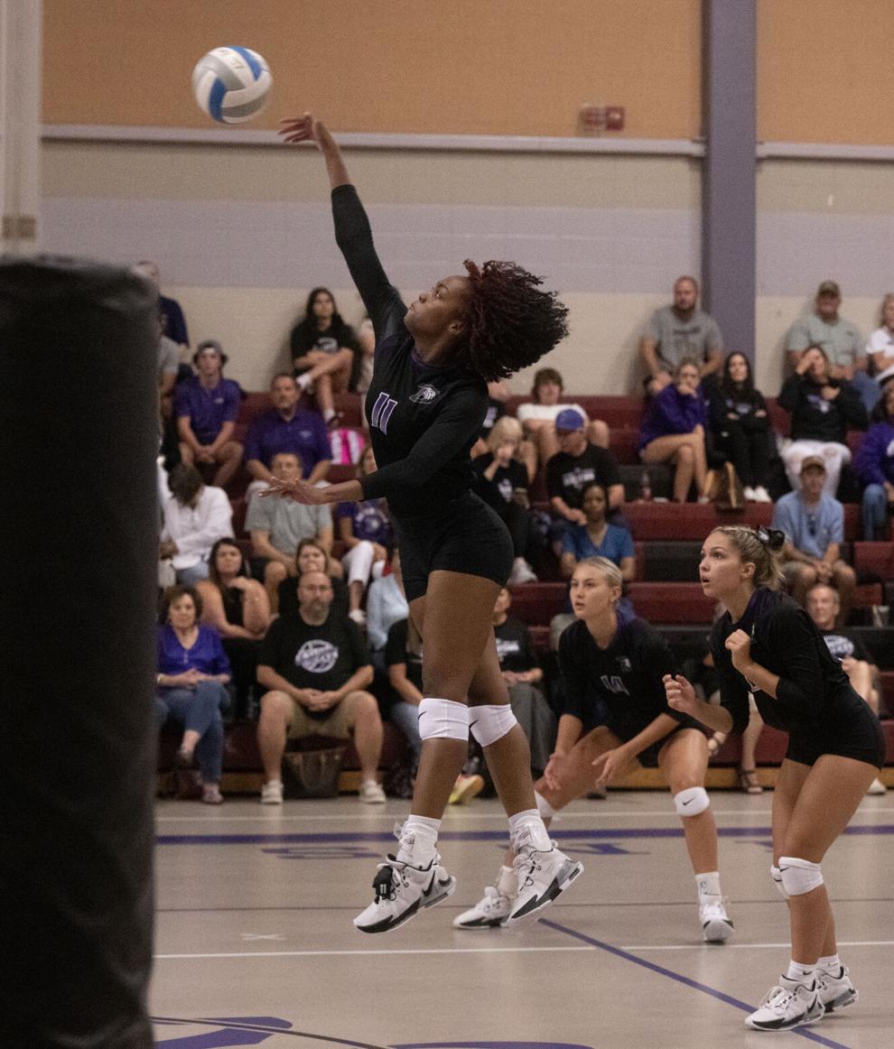 Who made Baton Rouge's All-Metro volleyball teams? We've got the lists ...