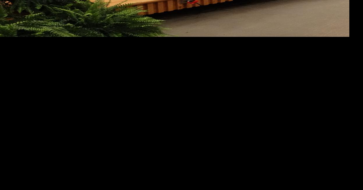 Juniors at LSMSA receive senior rings during annual ceremony | St ...