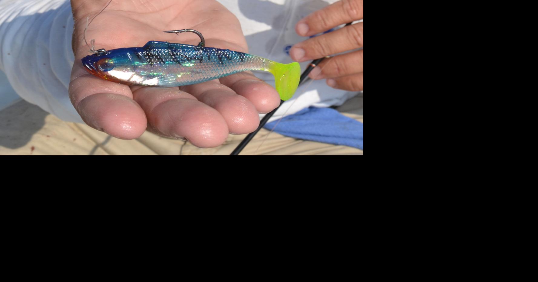 Out the box: Fish these 3 lures for more wintertime speckled trout ...