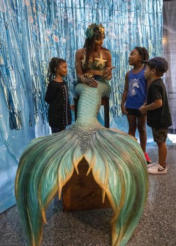 PHOTOS: Mermaids Inhabit Audubon Aquarium of the Americas | Multimedia ...