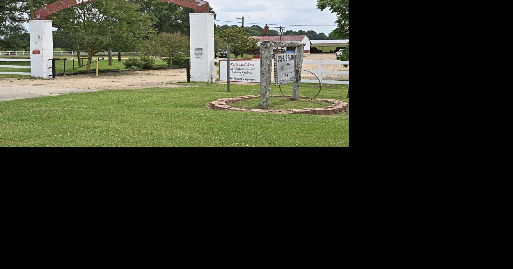 Baton Rouge man sentenced for killing mother's boyfriend | Courts ...